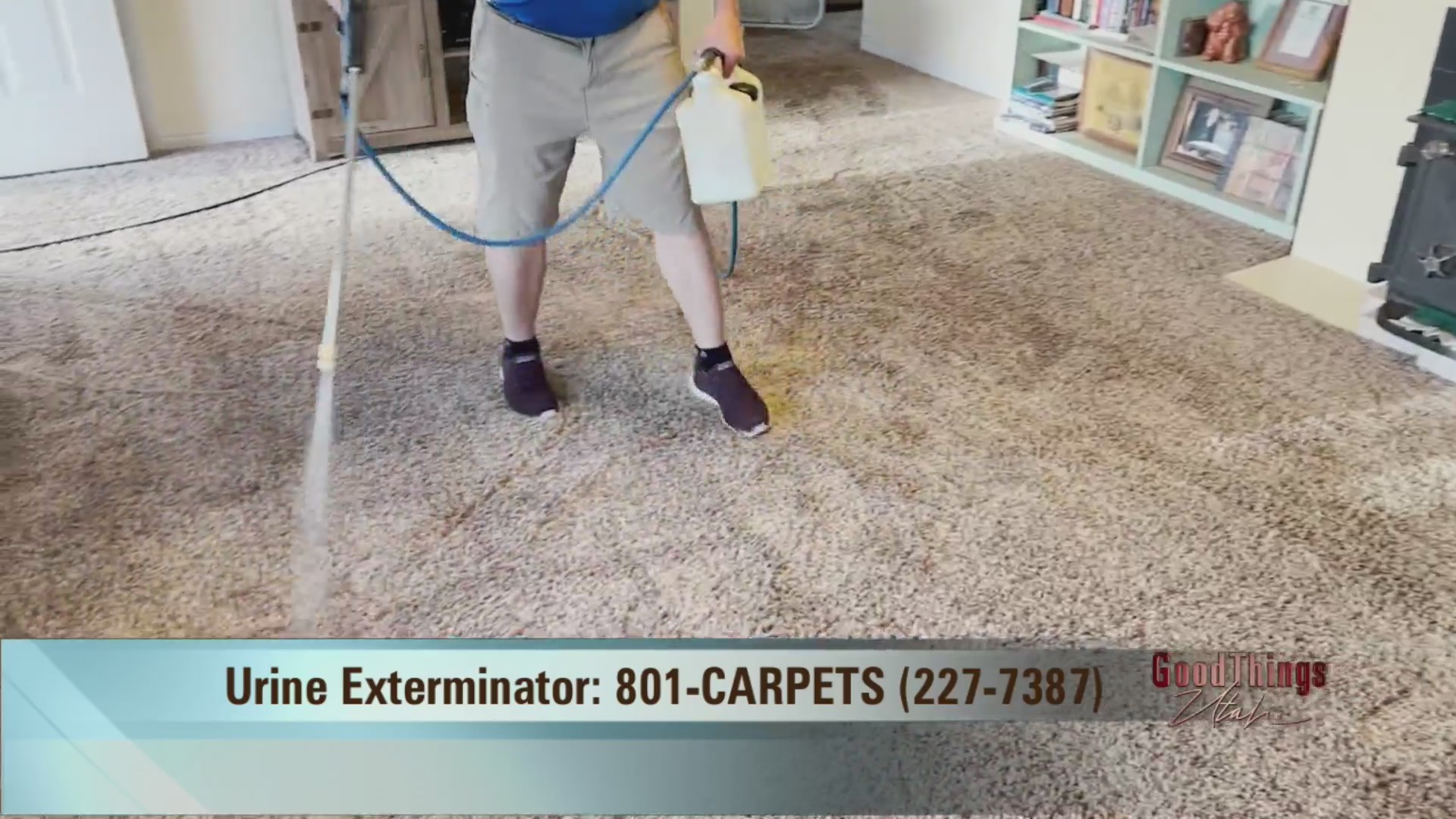 Power Plus Cleaning is transforming homes with expert carpets – ABC4 Utah