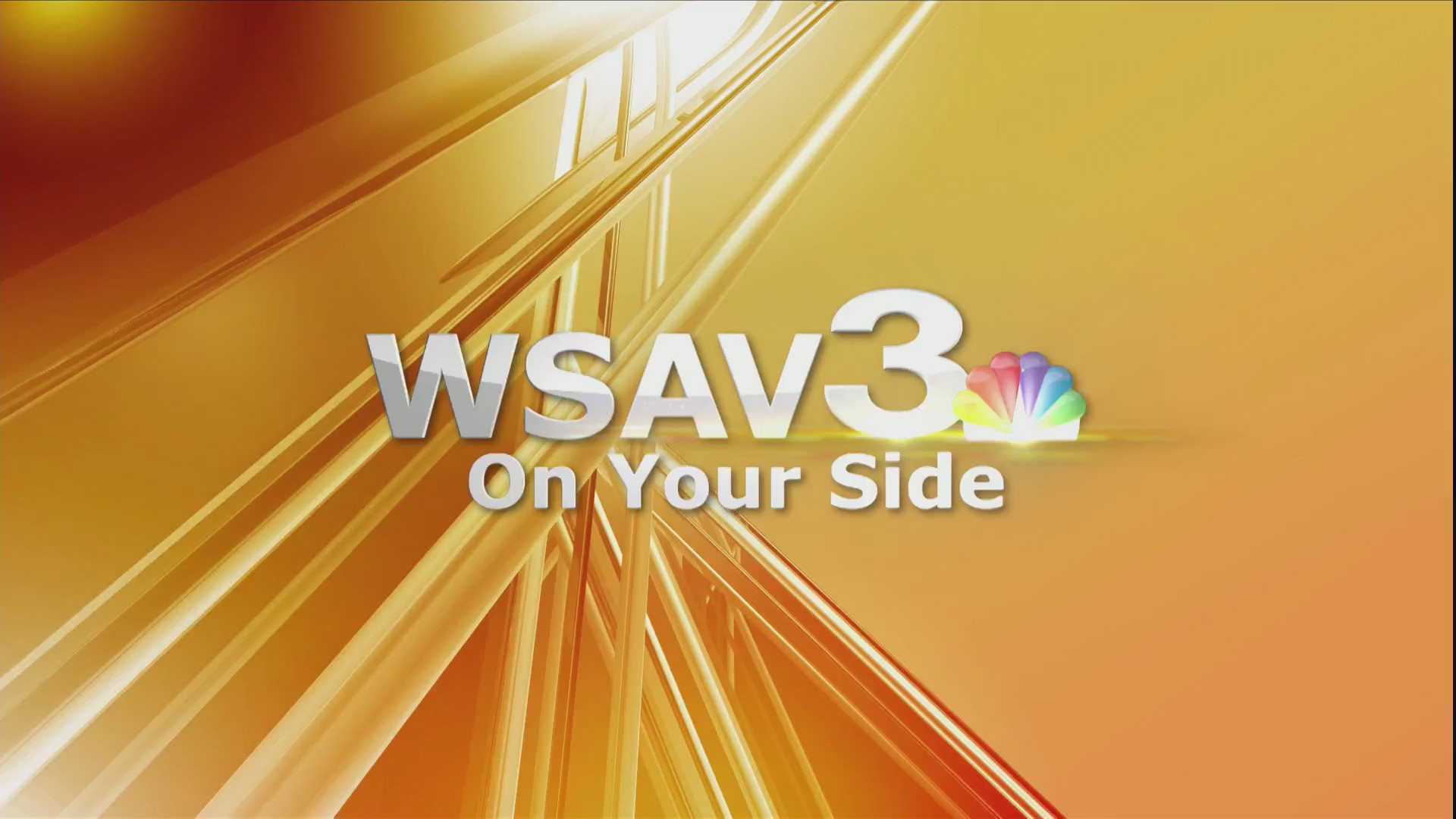 Pet of the Week — Cleopatra – WSAV-TV