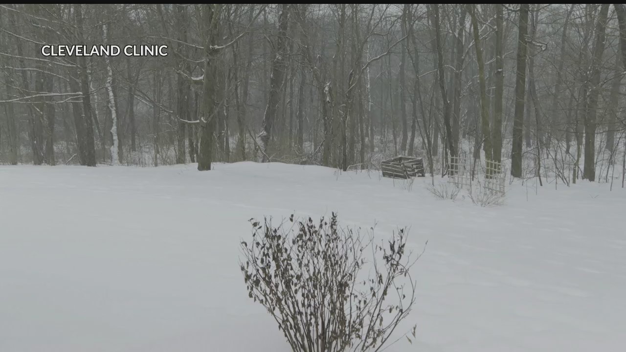 How some people can have an allergic reaction to cold weather – WKBN.com