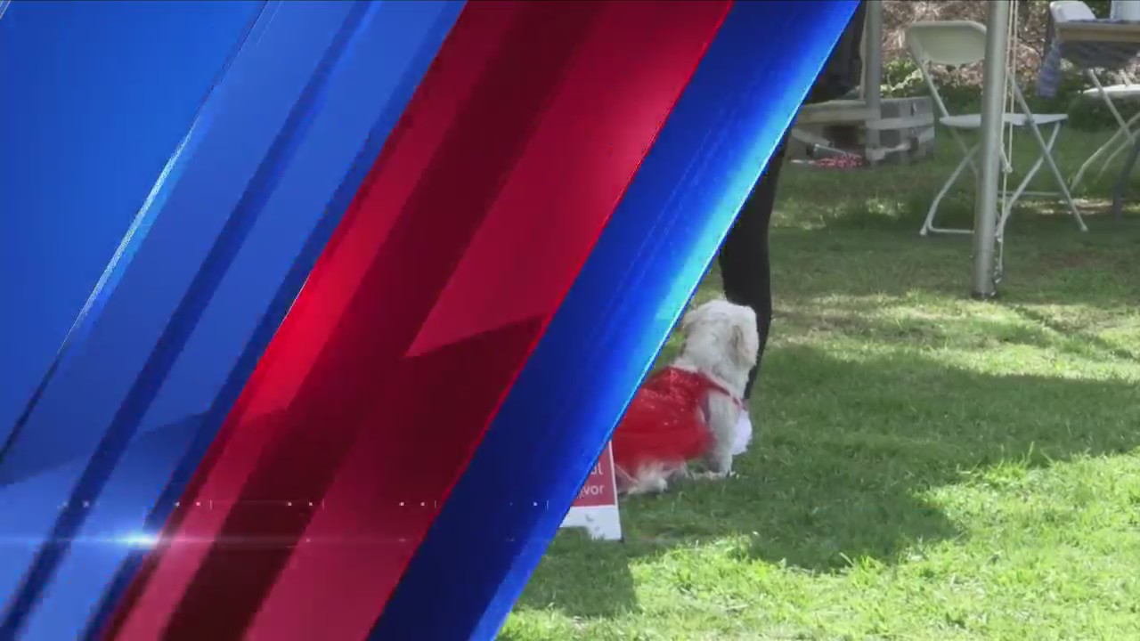 Foot Levelers Blue Ridge Marathon, Half Marathon and Anthem Stark – WFXRtv