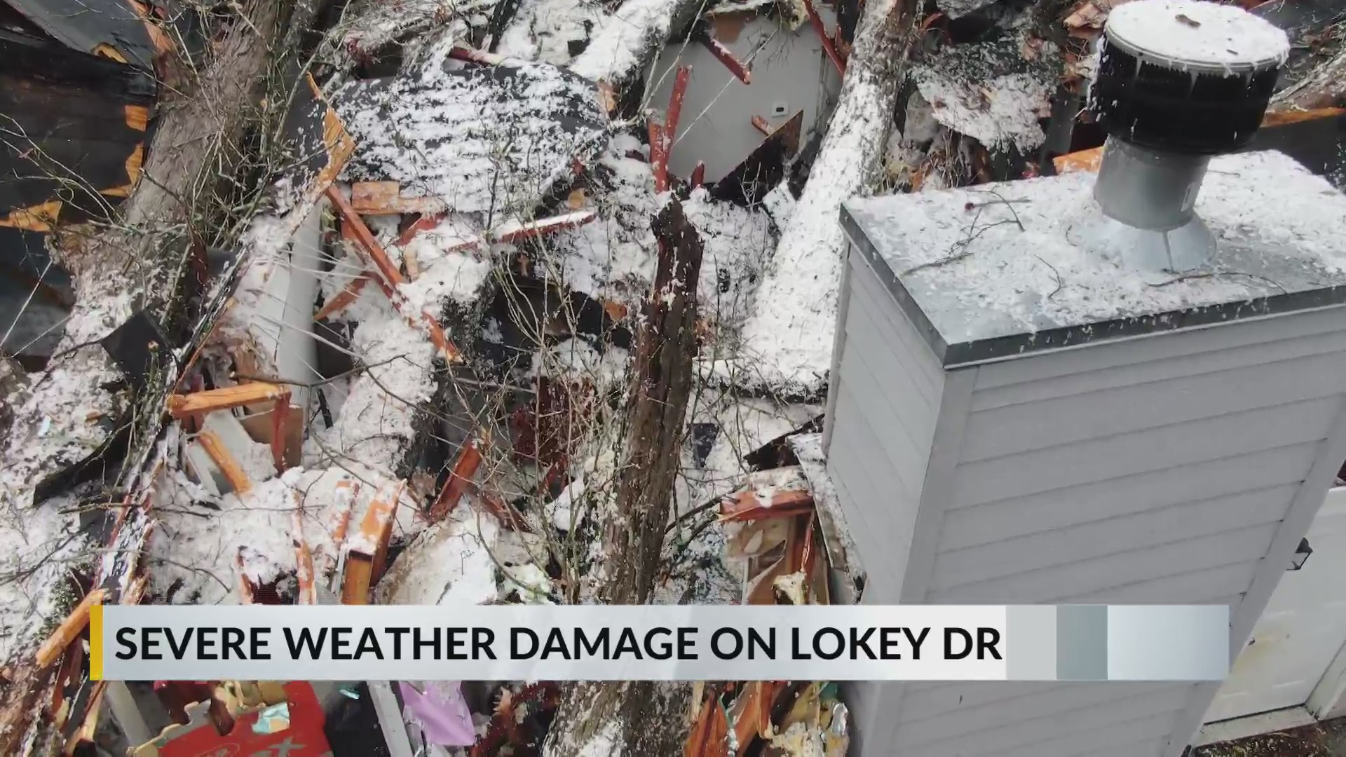 House leveled by wind knocking over a tree – WRBL