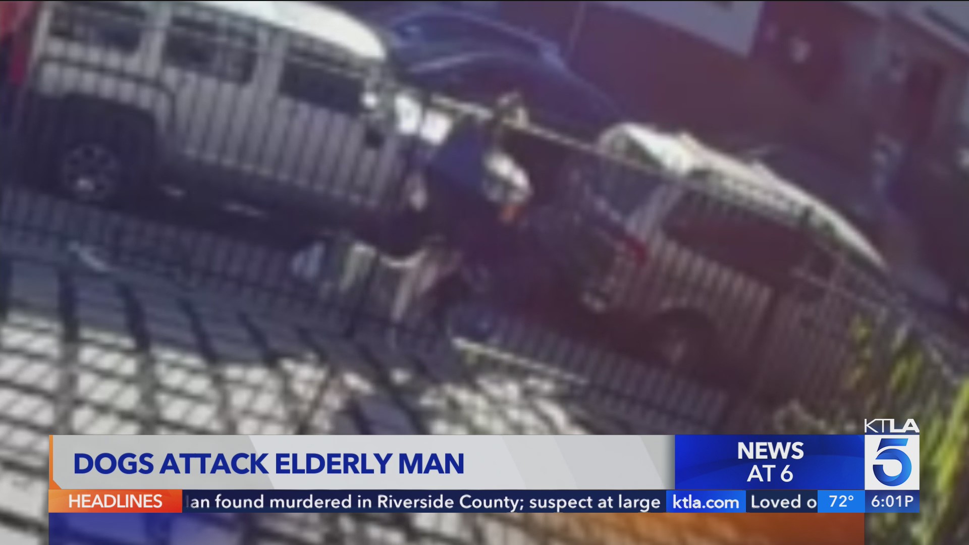 Elderly man attacked by dogs in Mid-City – KTLA