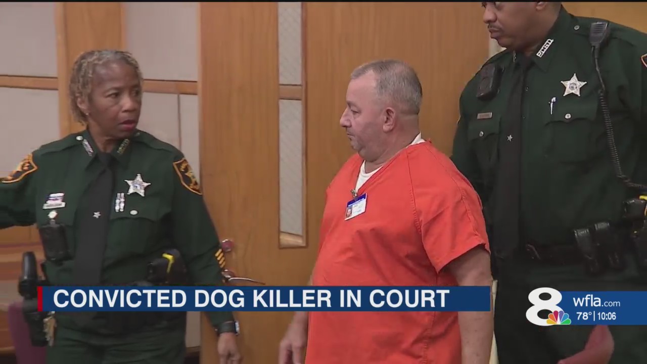 ‘Justice for Dexter’: Will man convicted for decapitating dog get bond ...