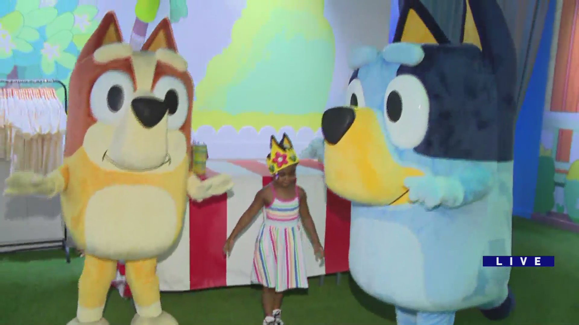 Weekend Break: Camp Store Bluey – WGN-TV