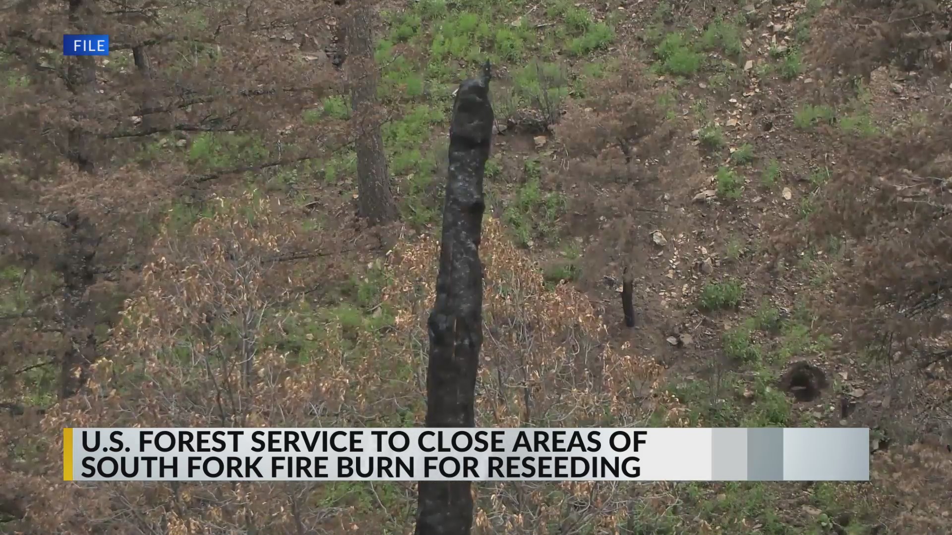 U.S. Forest Service to close areas of South Fork burn scar for ...