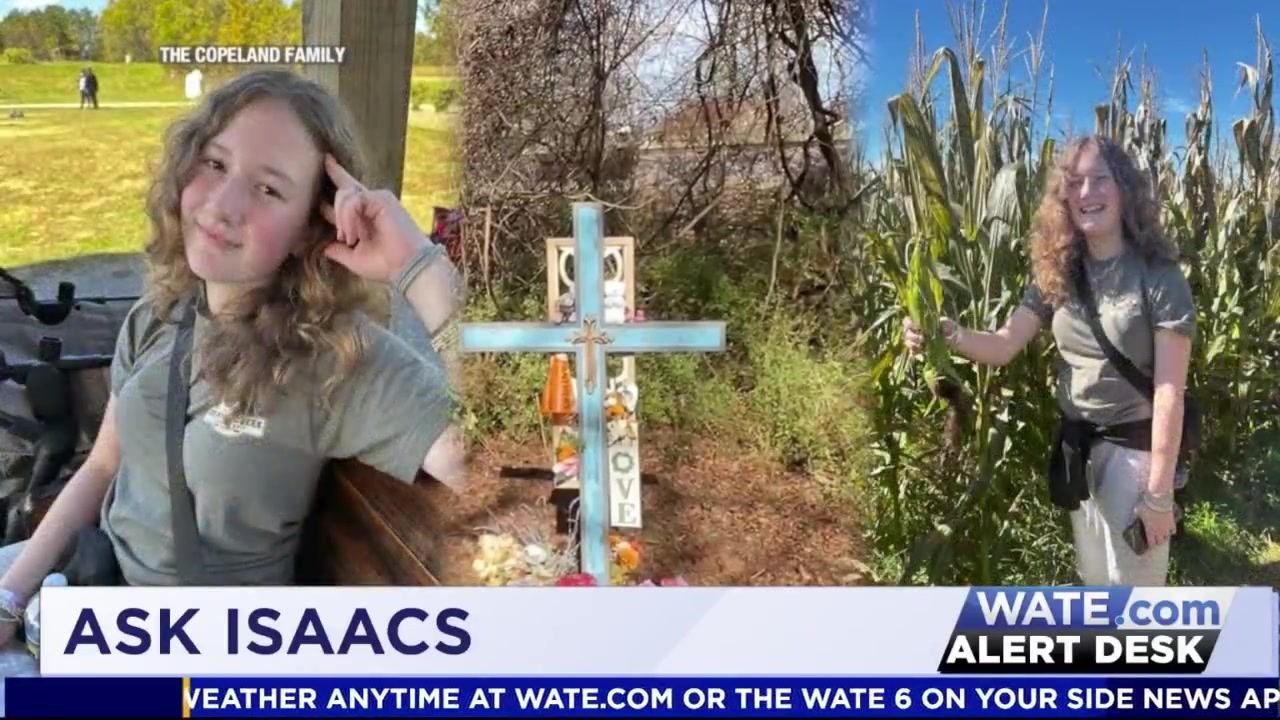 Lawyer breaks down Savannah Grace Copeland Act as Powell teen murder ...