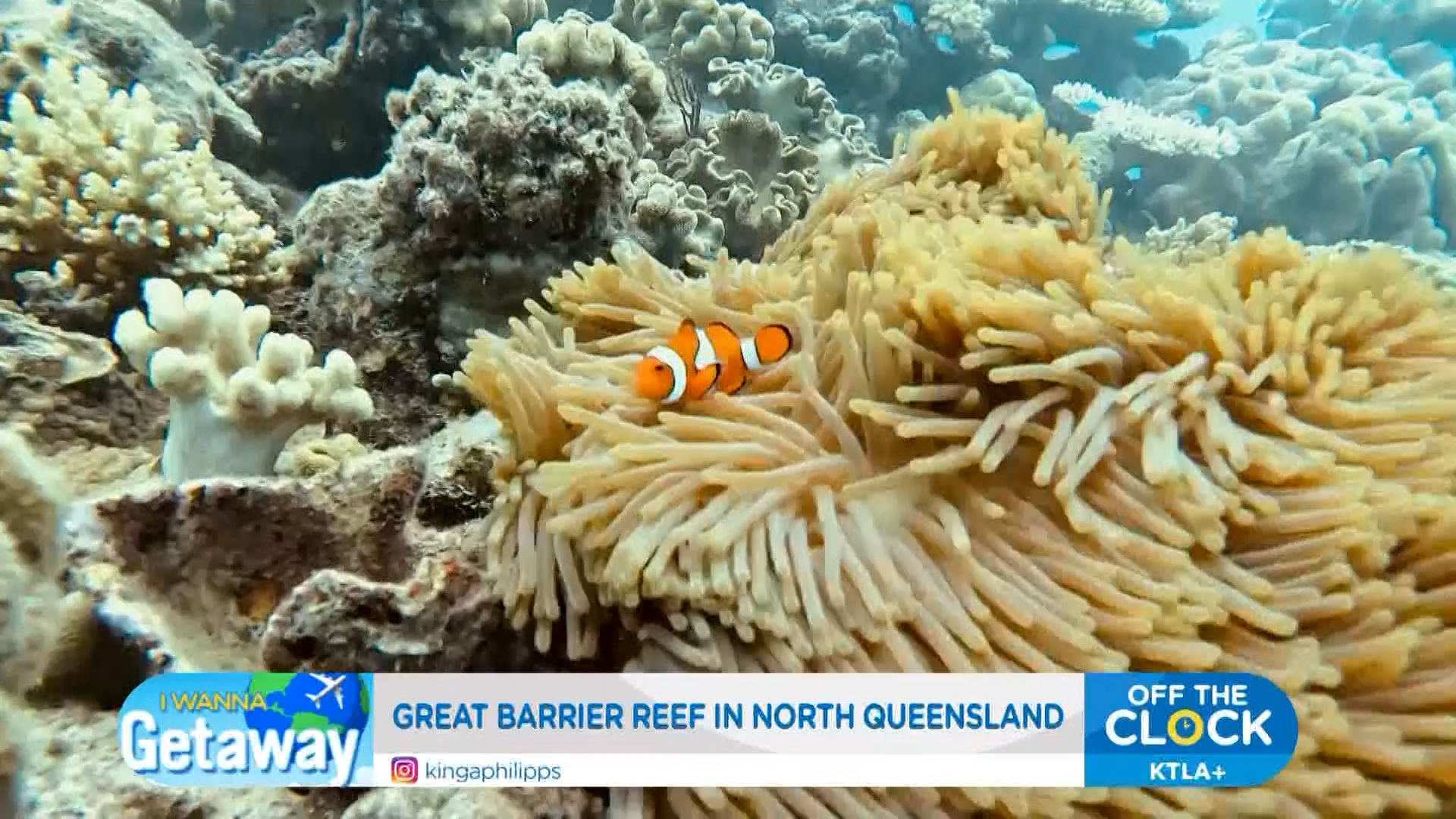 I Wanna Getaway: Queensland and the Great Barrier Reef – KTLA