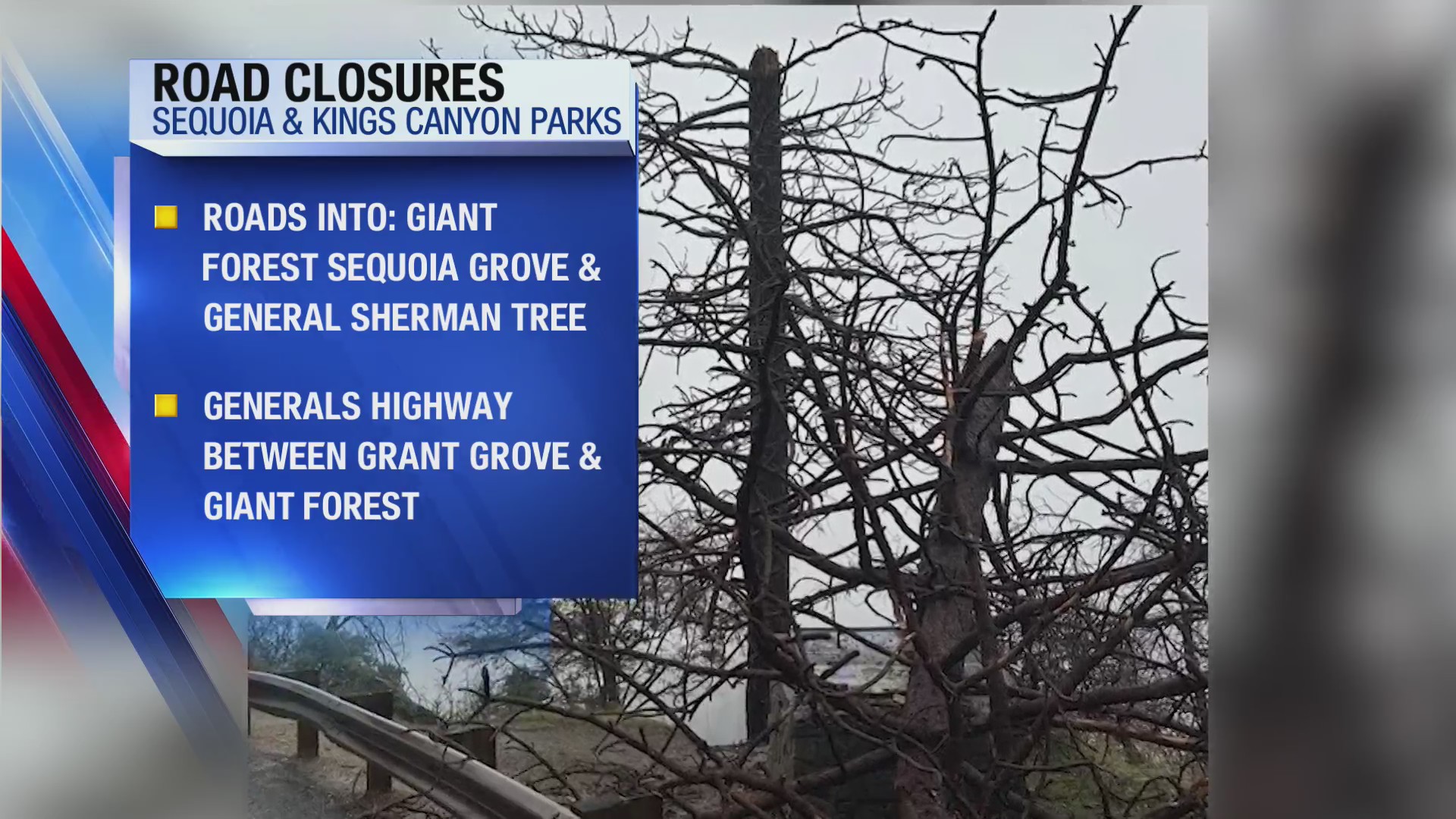 Winter storm closes roads in Sequoia and Kings Canyon Parks – CBS47 and ...