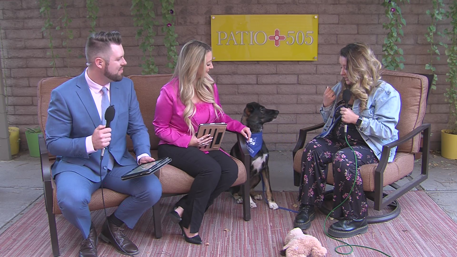 Registration still open for Animal Humane’s 42nd annual Doggie Dash and ...