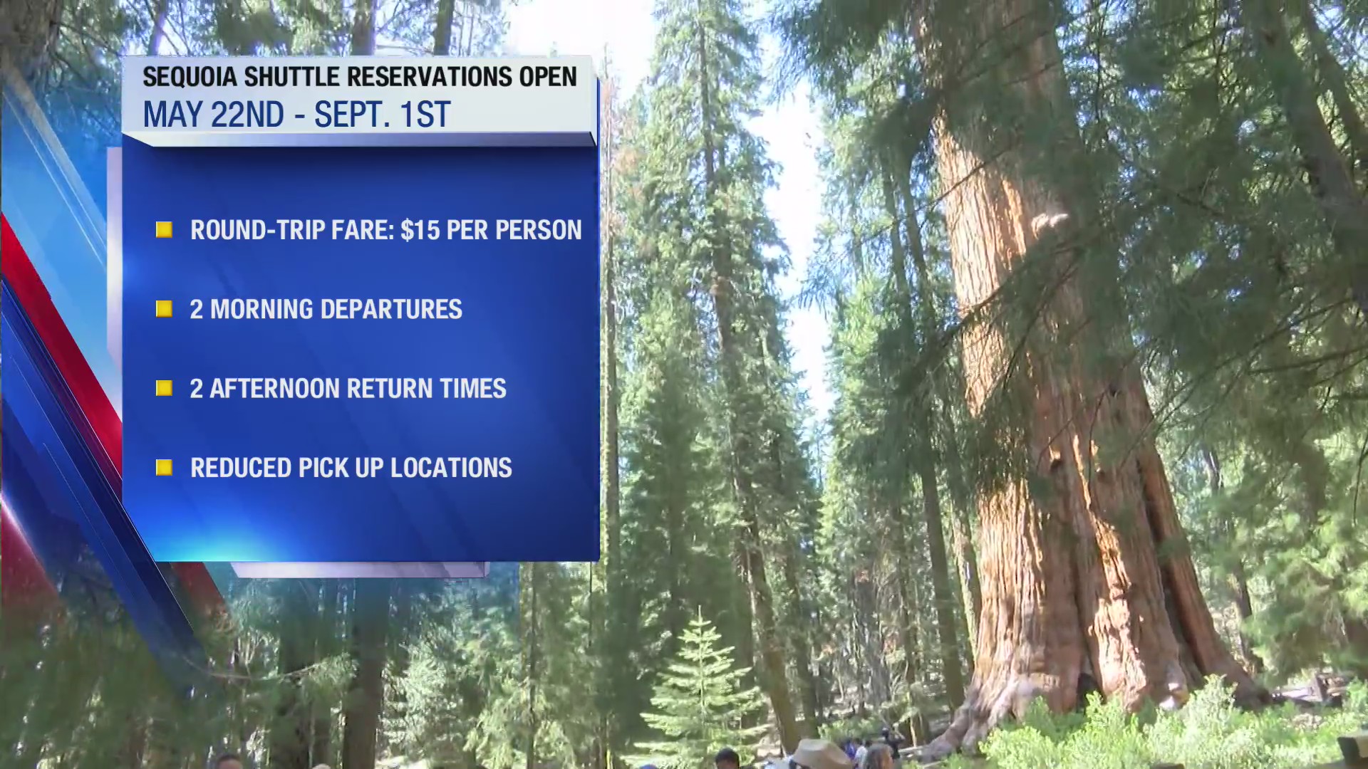 Visalia’s Sequoia Shuttle bus service promises cheaper fares for 2025 ...