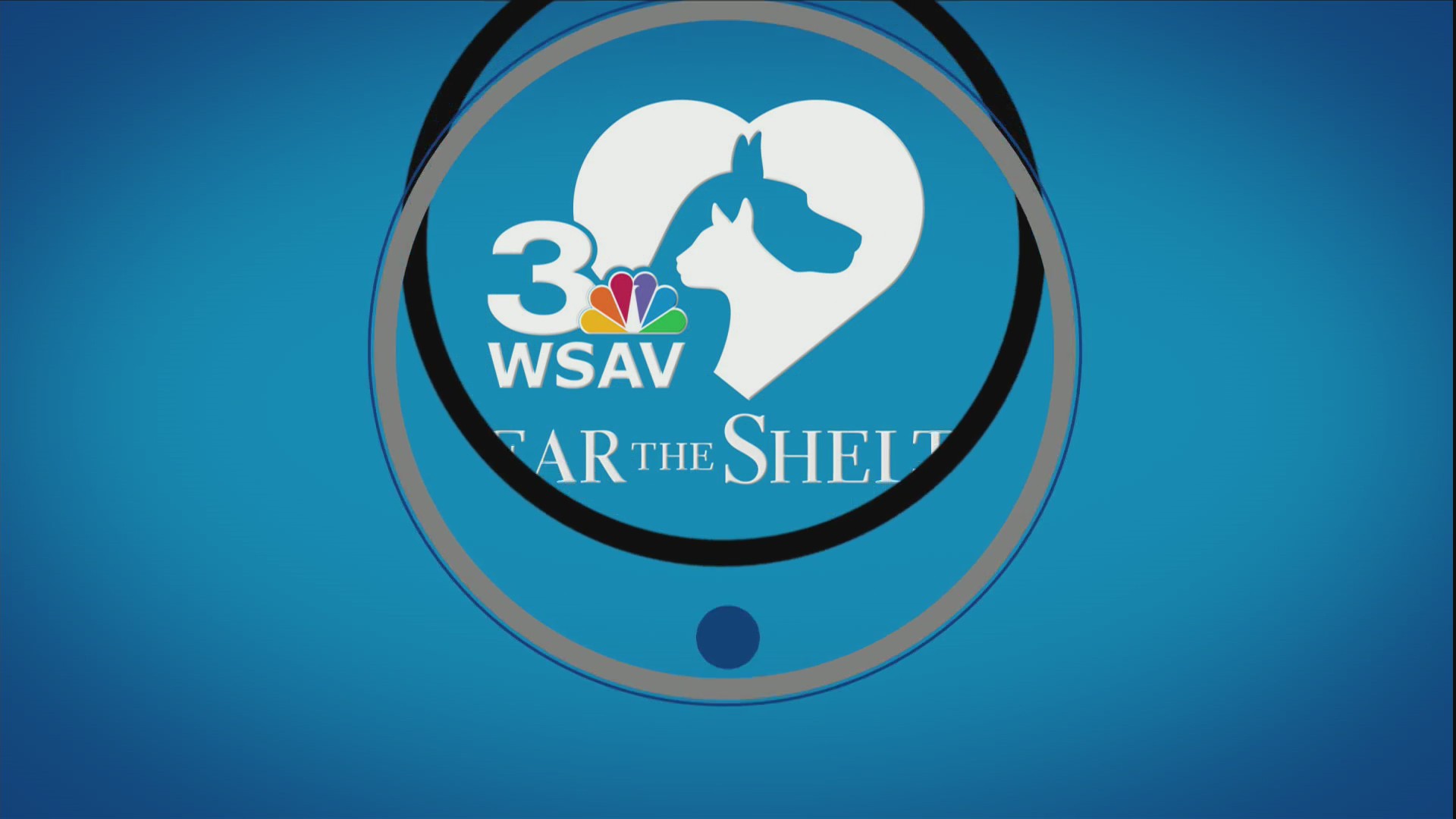 Pets of the week – WSAV-TV