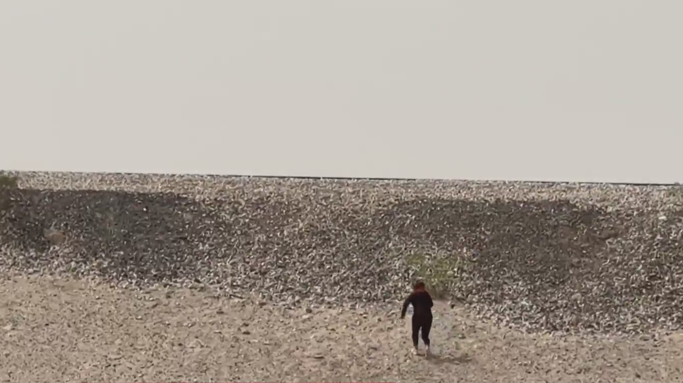 Watch: Smugglers guide migrants through border wall opening ...