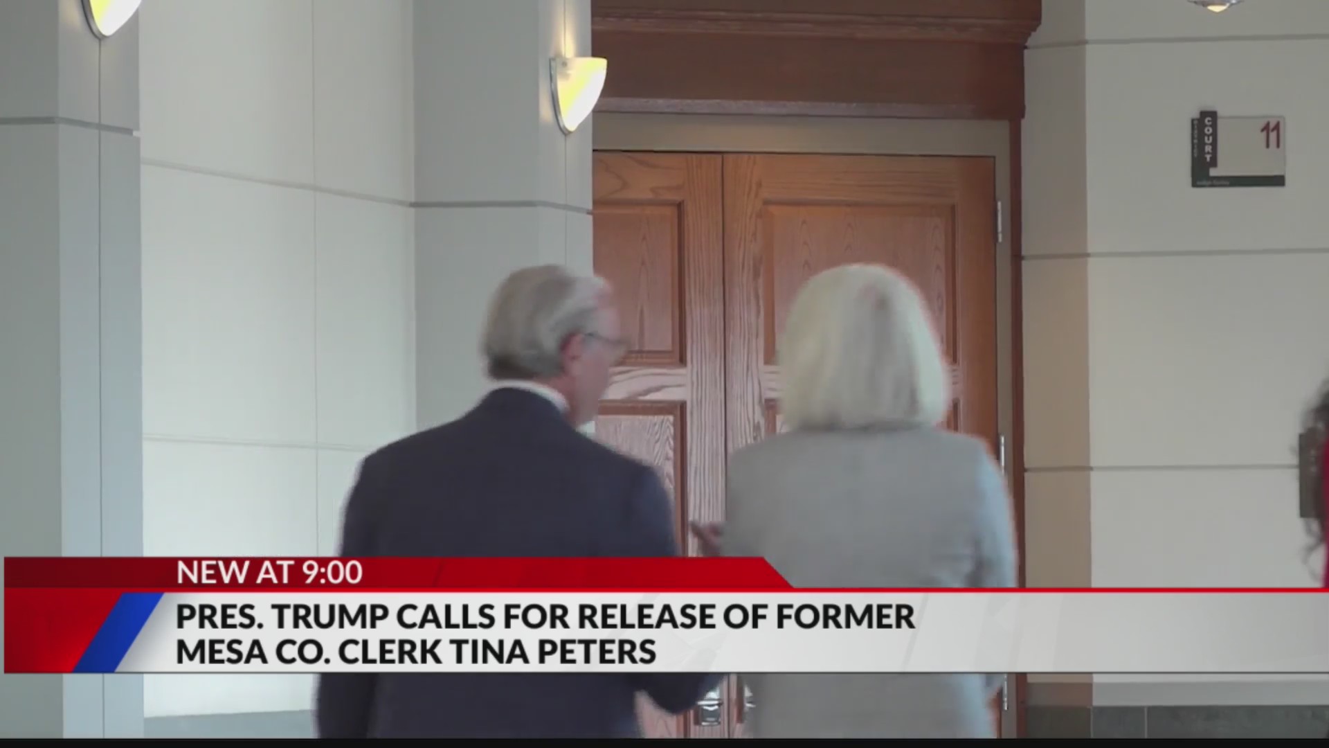 Trump to take ‘harsh measures’ if Tina Peters isn’t released from jail ...