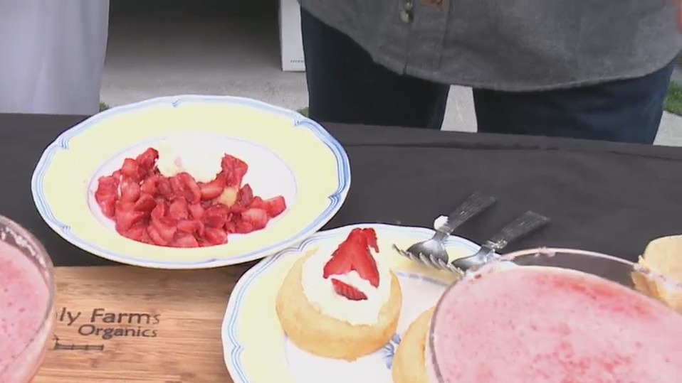 Strawberry Spectacular U-Pick event happening at Stehly Farms – FOX 5 ...