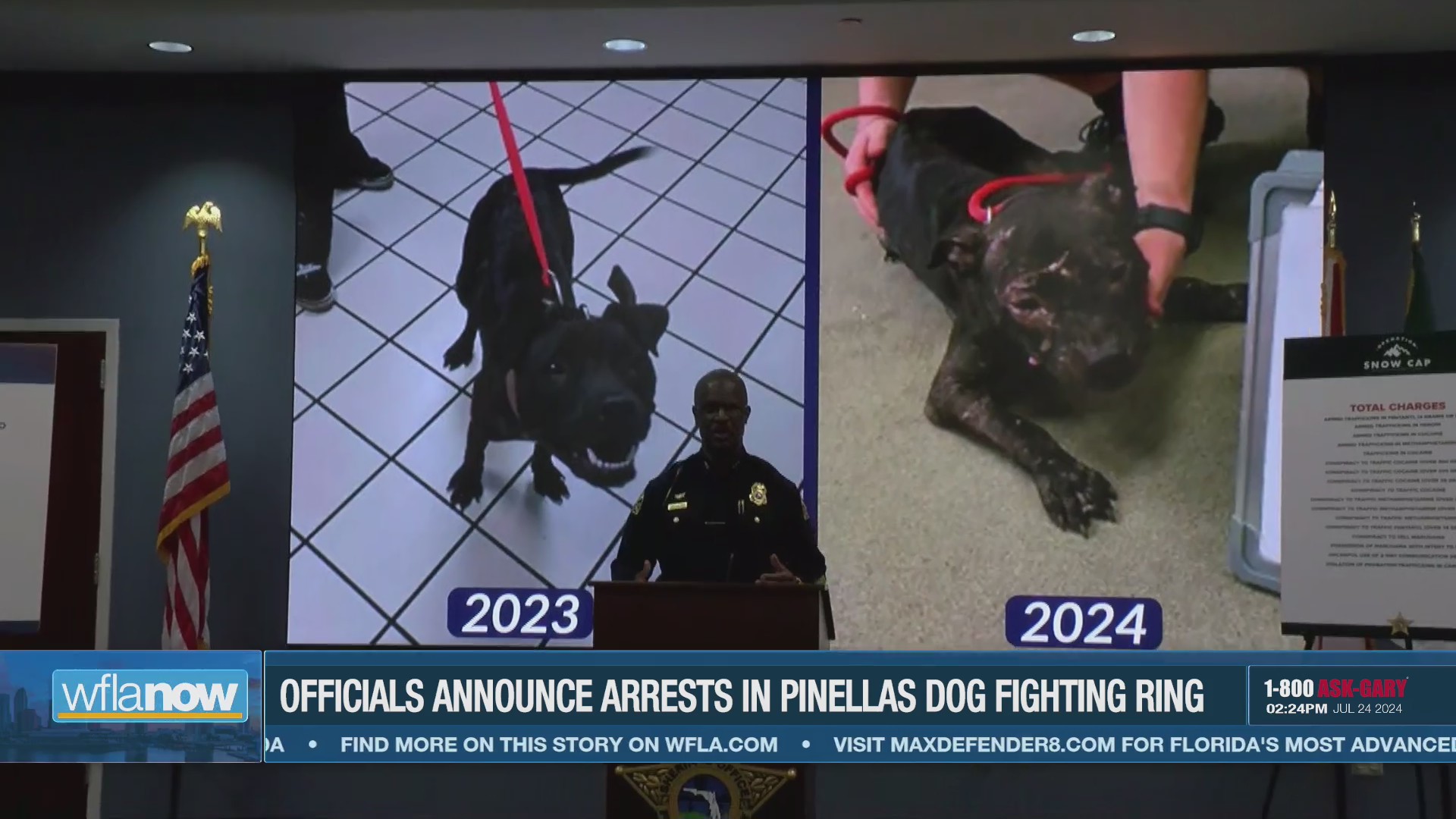Officials bust dog fighting ring in Pinellas County – WFLA