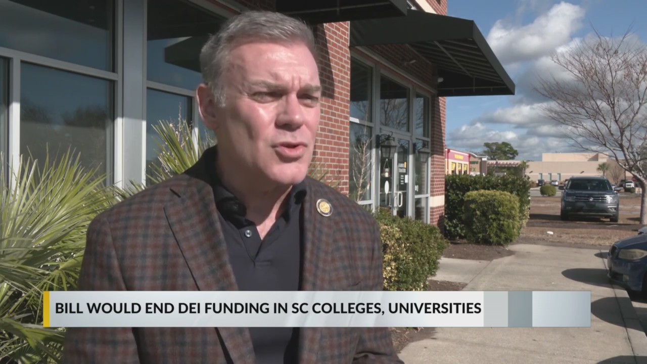 Myrtle Beach lawmaker trying again for DEI ban on public college and ...