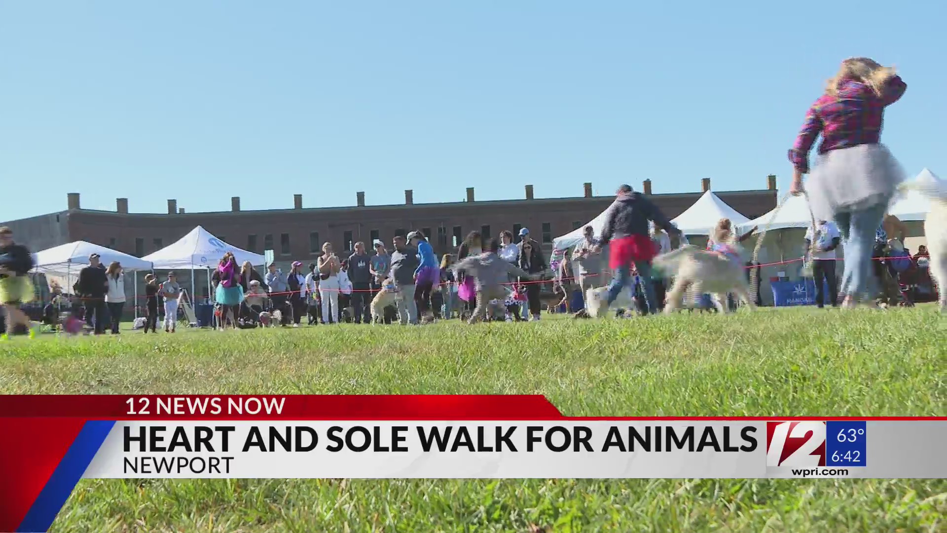 Heart & Sole Walk For Animals kicks off in Newport – WPRI.com