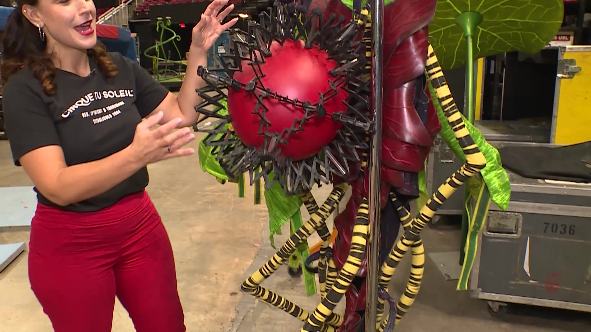 BTS: CW39 previews Cirque du Soleil’s OVO – CW39 Houston