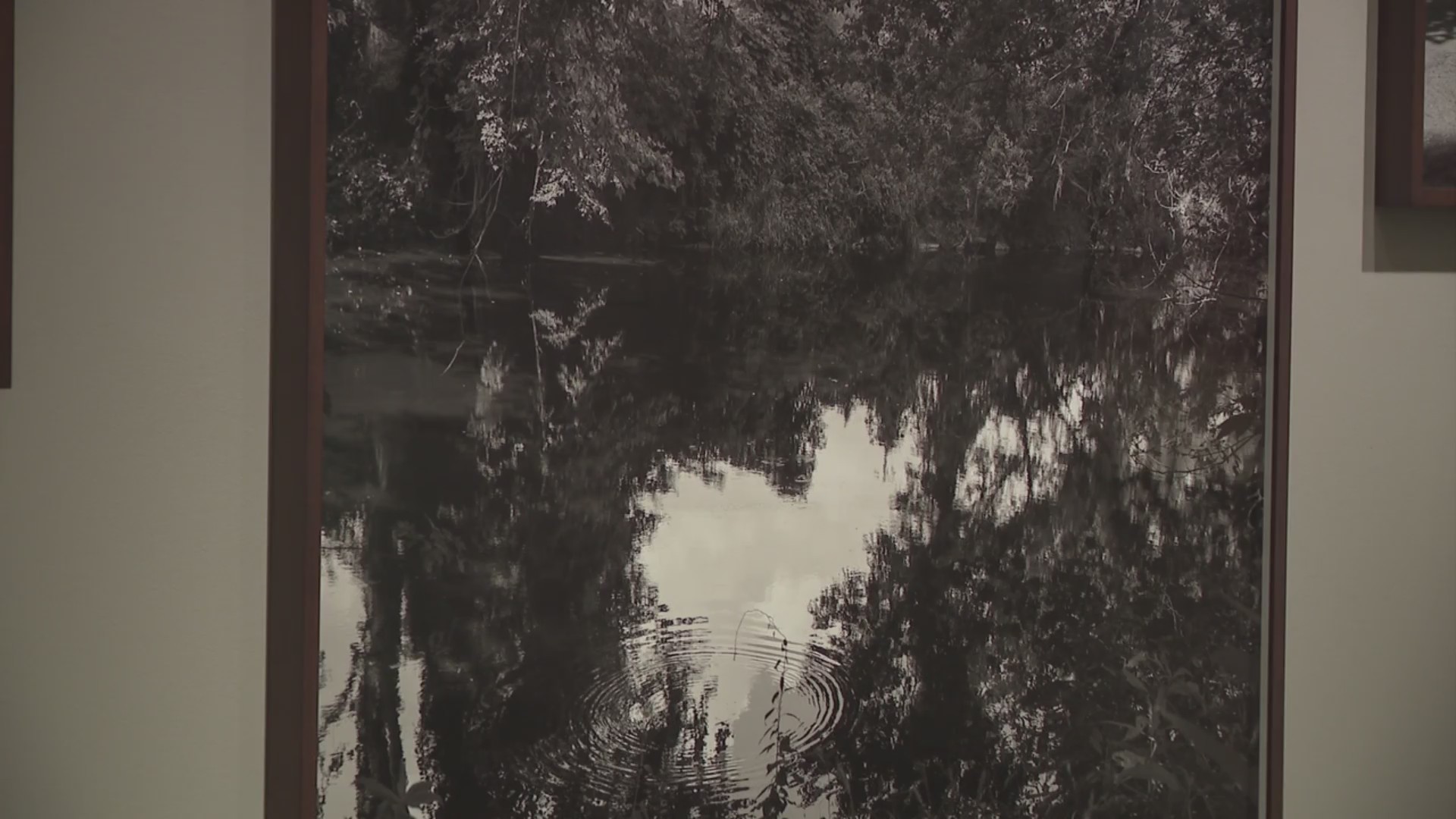 New photography exhibit at Nelson-Atkins explores rural America – FOX 4 ...