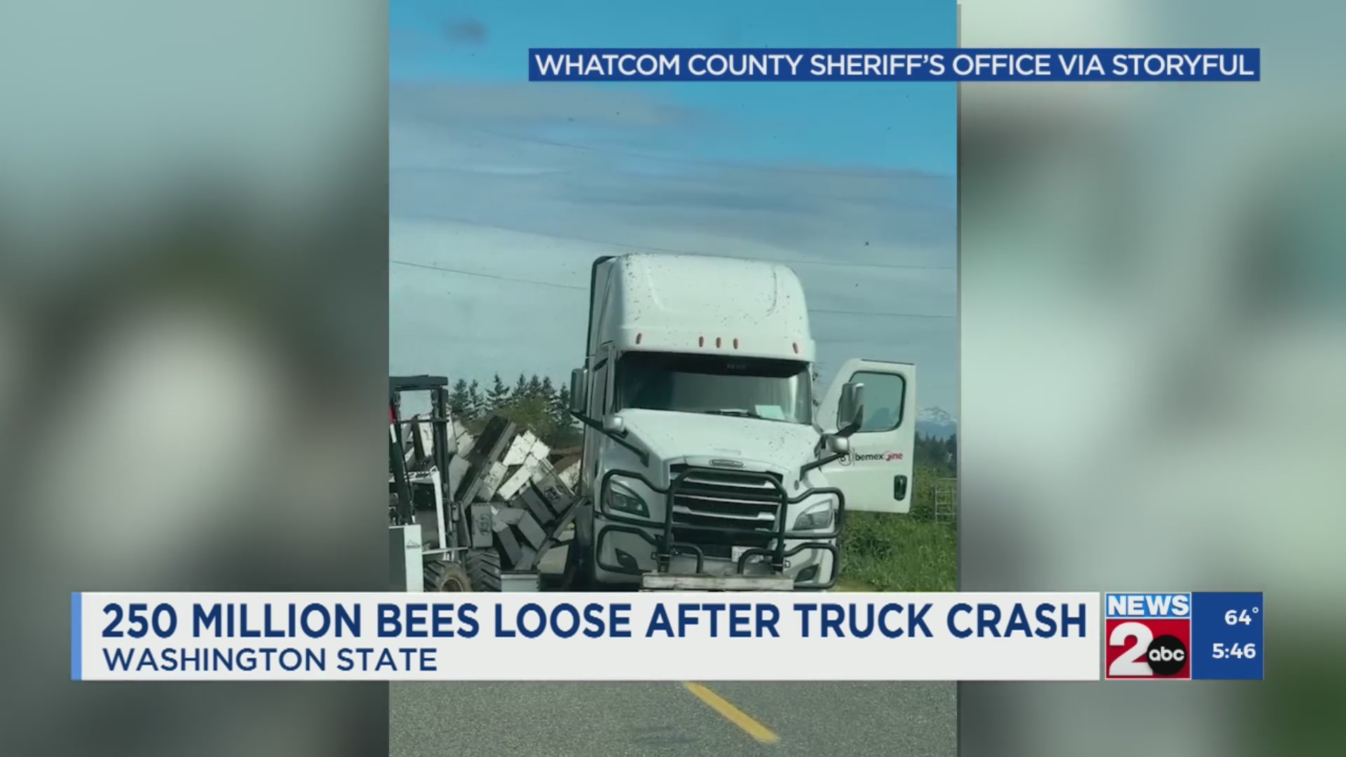 250 million bees loose after truck crash – WKRN News 2
