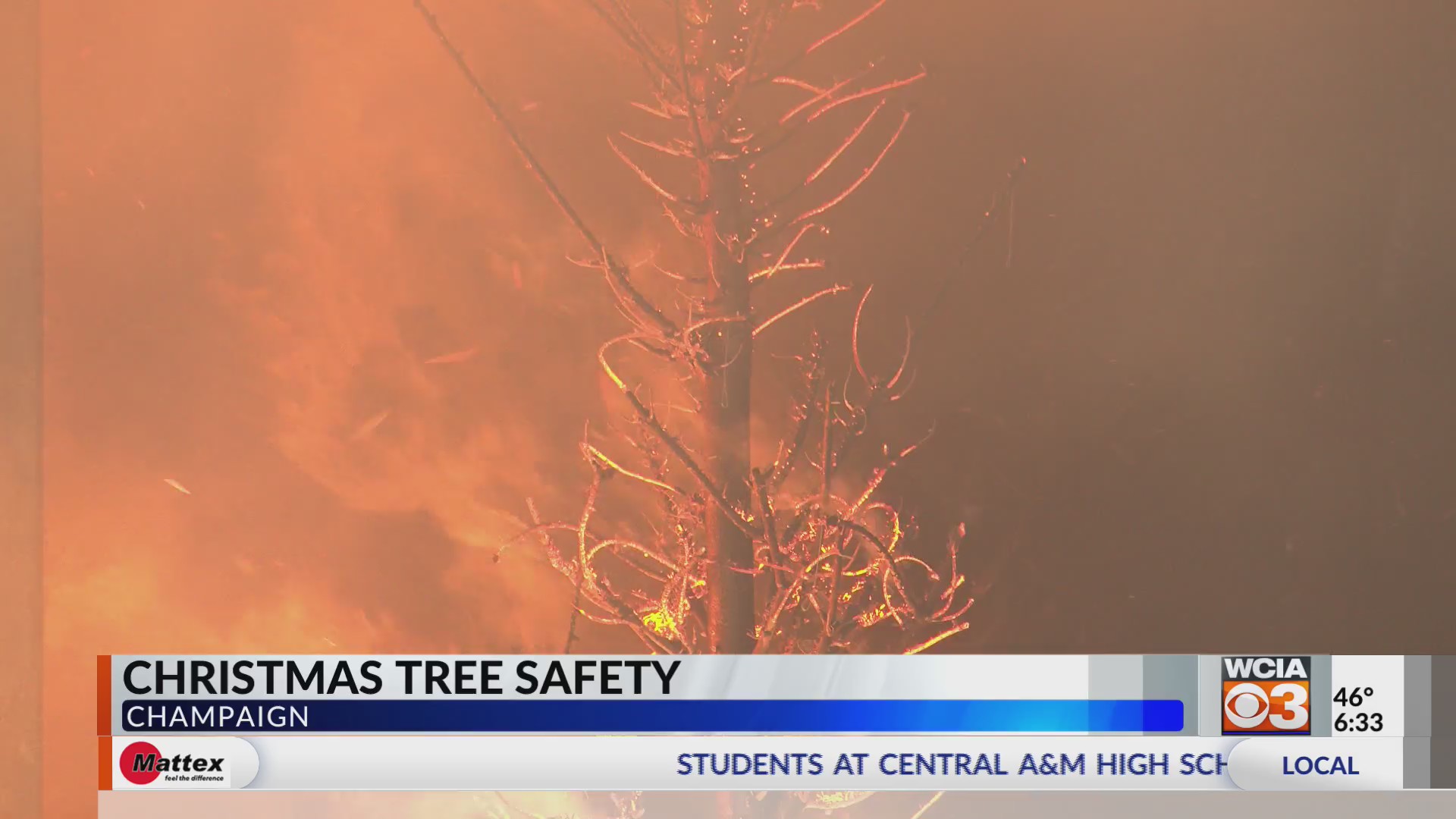 IL Fire Service Institute offers Christmas tree fire safety tips – WCIA.com