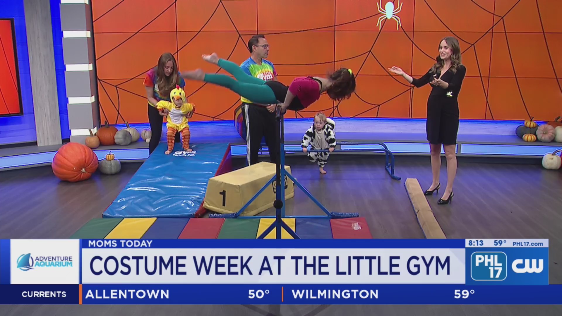 The Little Gym Of Springhouse