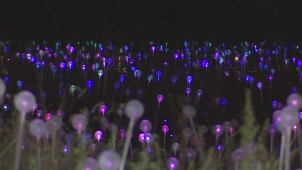 Field of Light art installation at Freedom Plaza to close in November ...