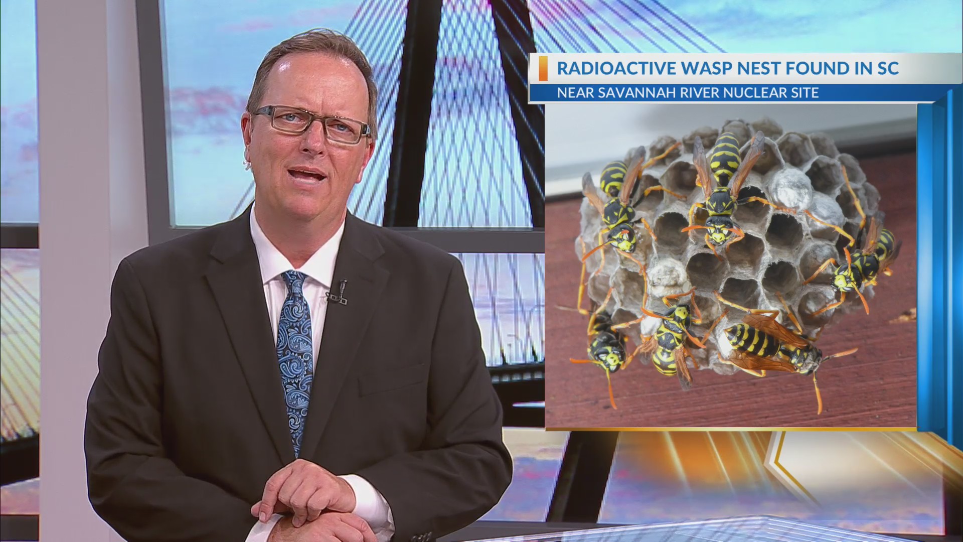 Radioactive wasp nest found in SC – WKRG News 5