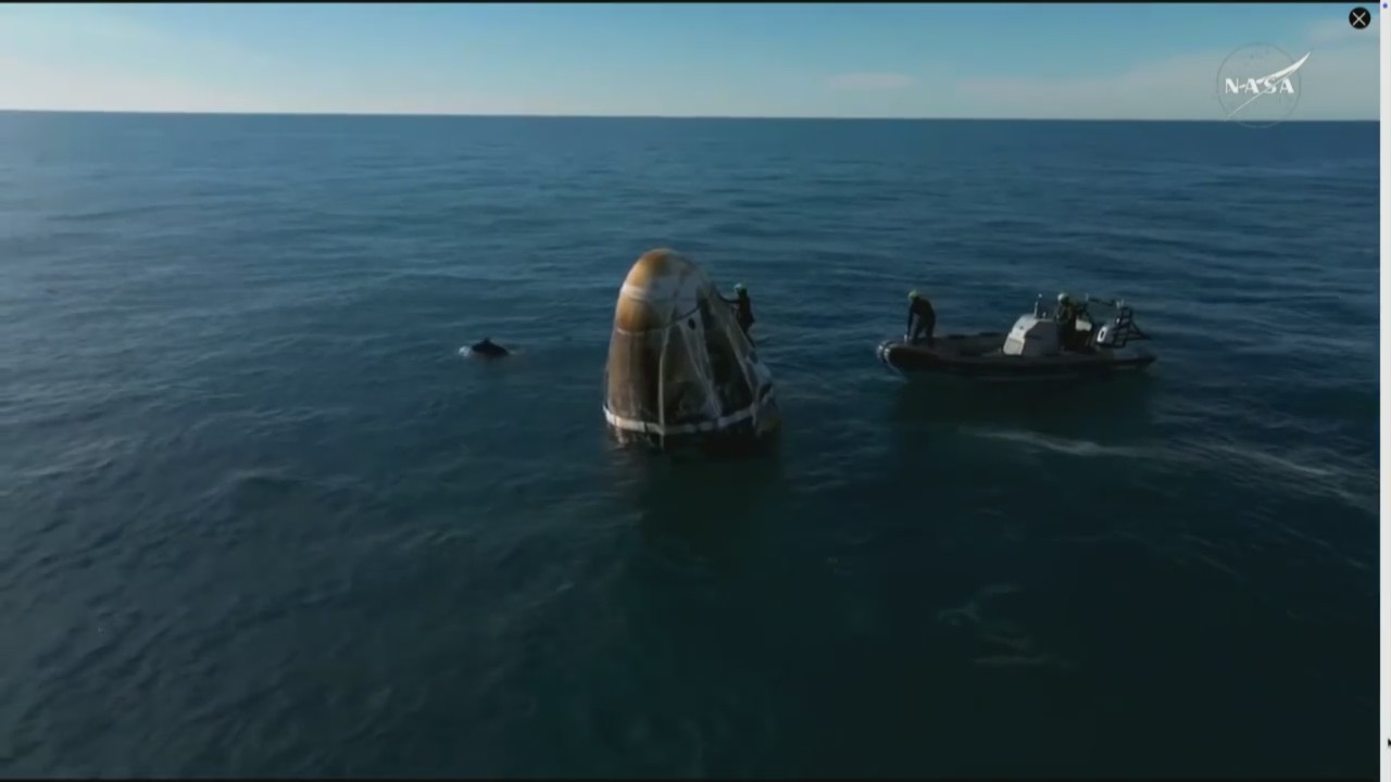 Dolphins welcome NASA astronauts home after splash down off Florida ...