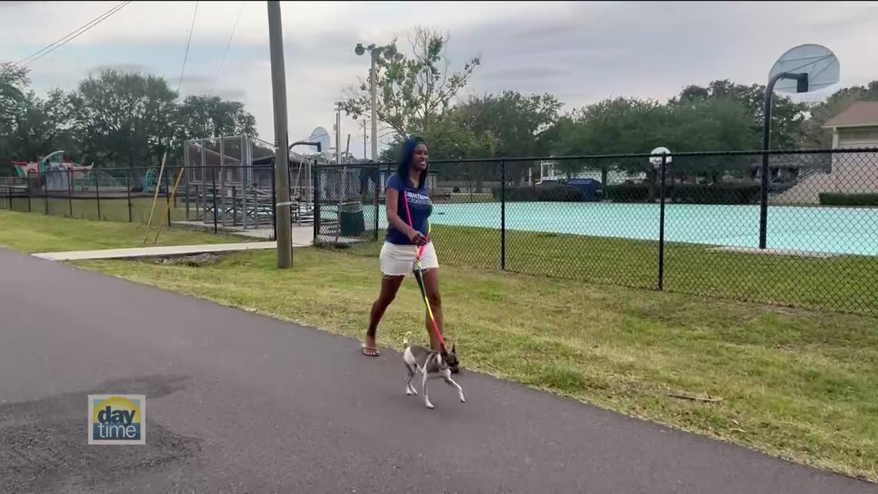 What’s Hipp? Hands free dog leash – WFLA