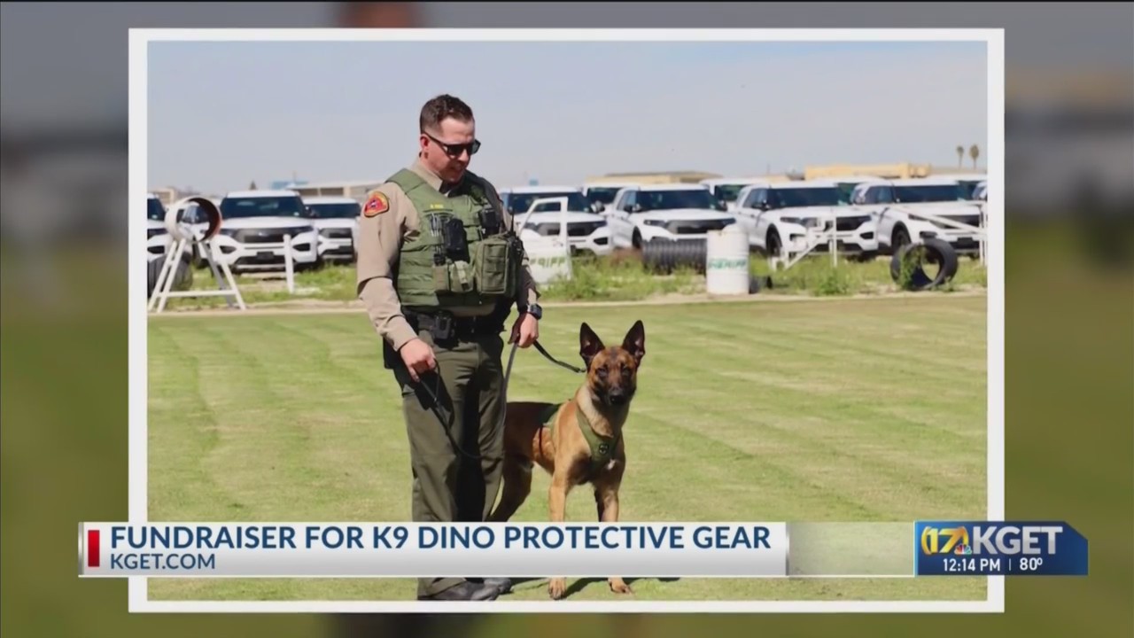 KCSO welcomes K9, Dino – KGET 17 News