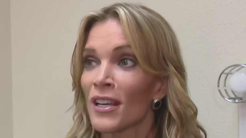 The time to hide conservative views ‘is over’: Megyn Kelly | The Hill ...