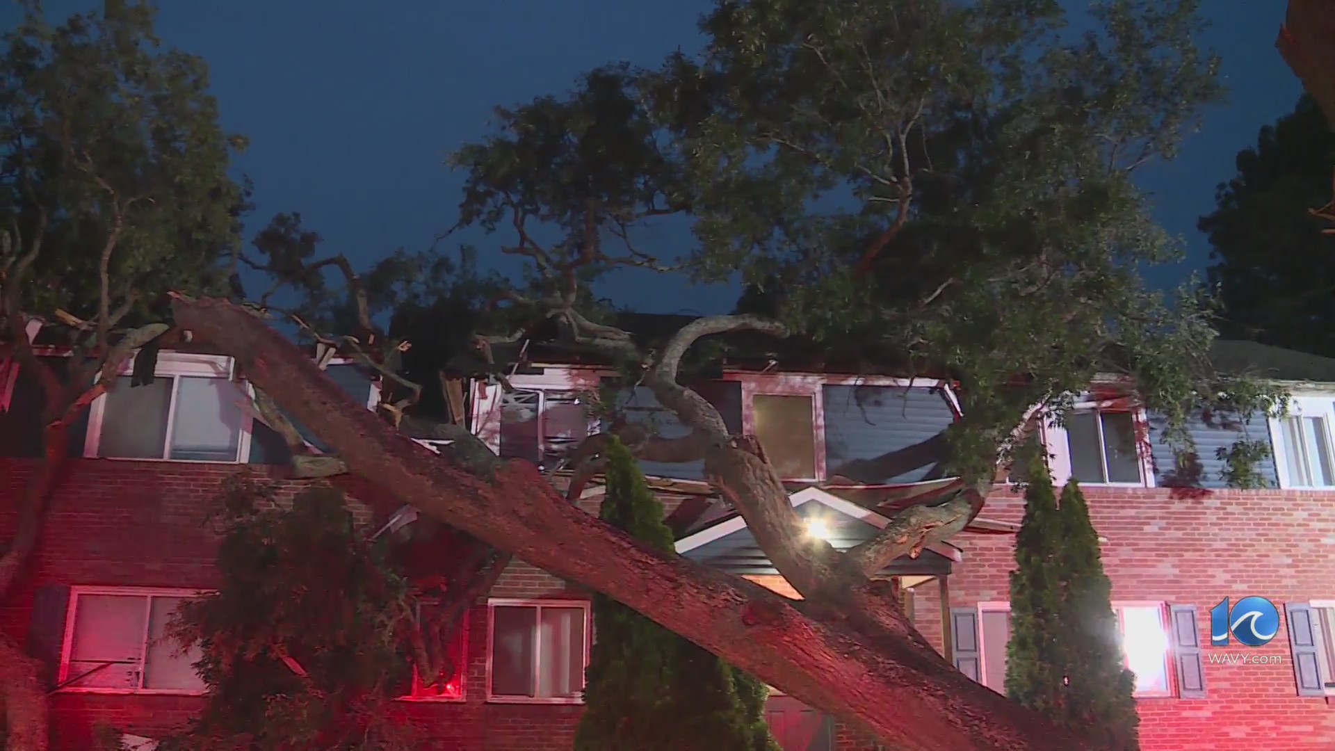 Tree falls on apartment building in Portsmouth – WAVY.com