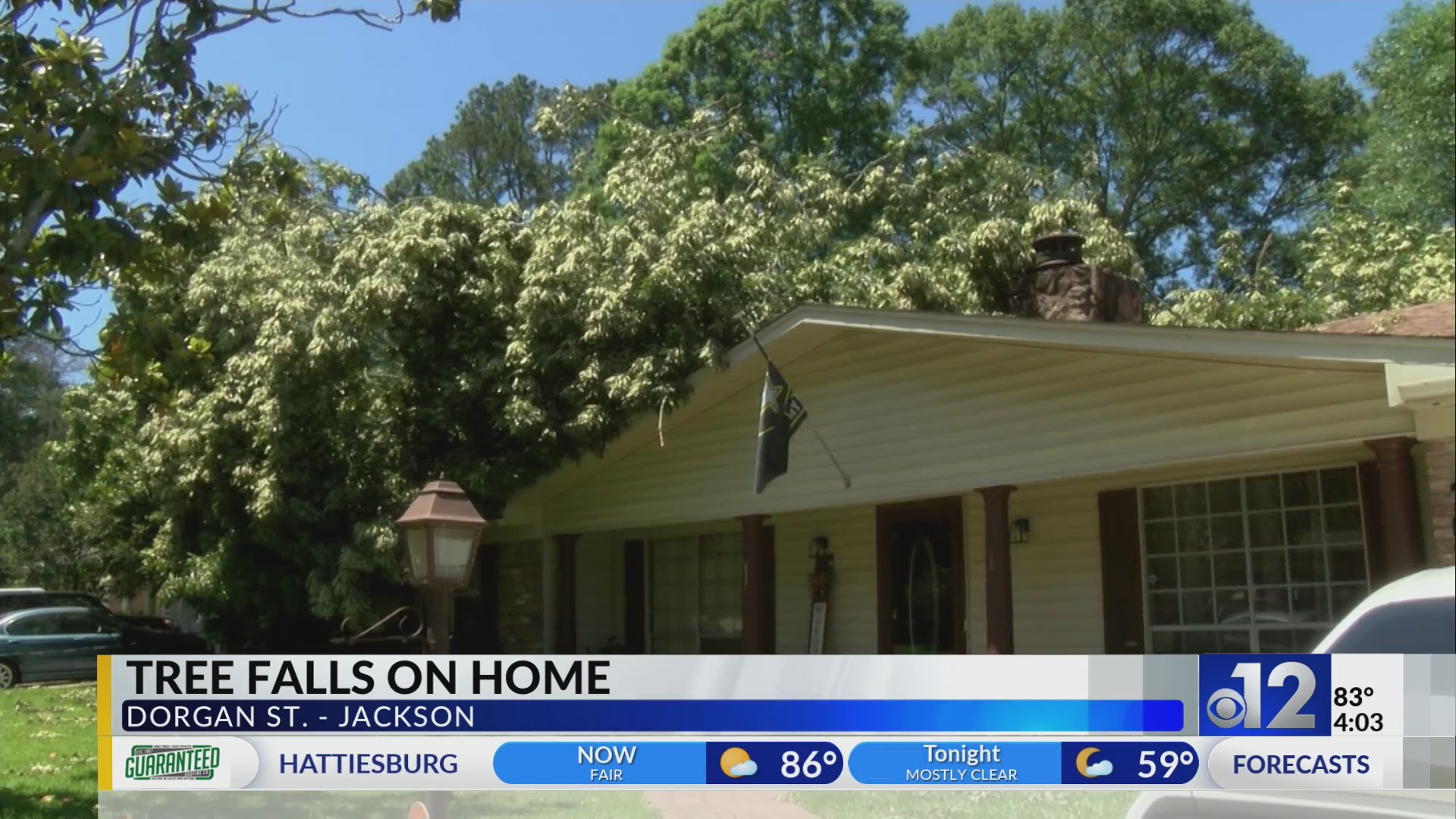 ‘He heard the tree creaking’: Fallen tree damages South Jackson family ...