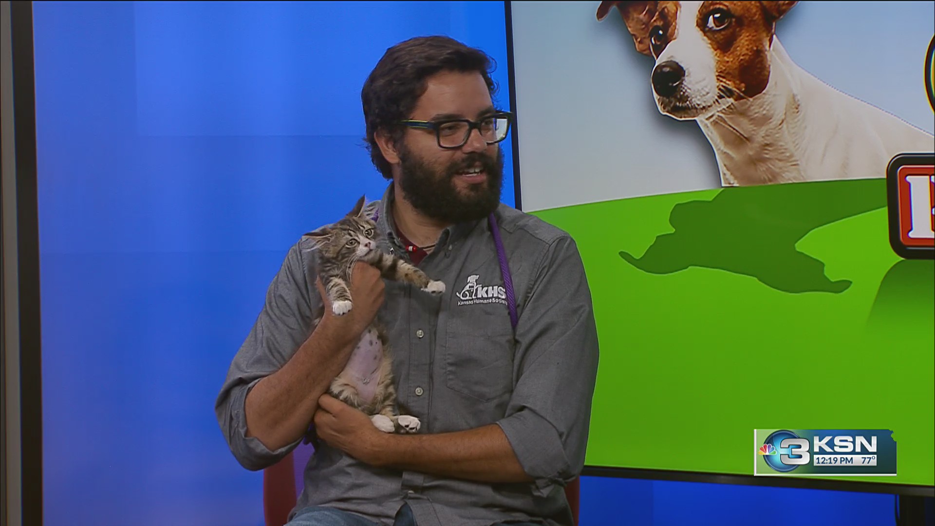 Pet Project: Gingersnap wants to spice up your life – KSN-TV