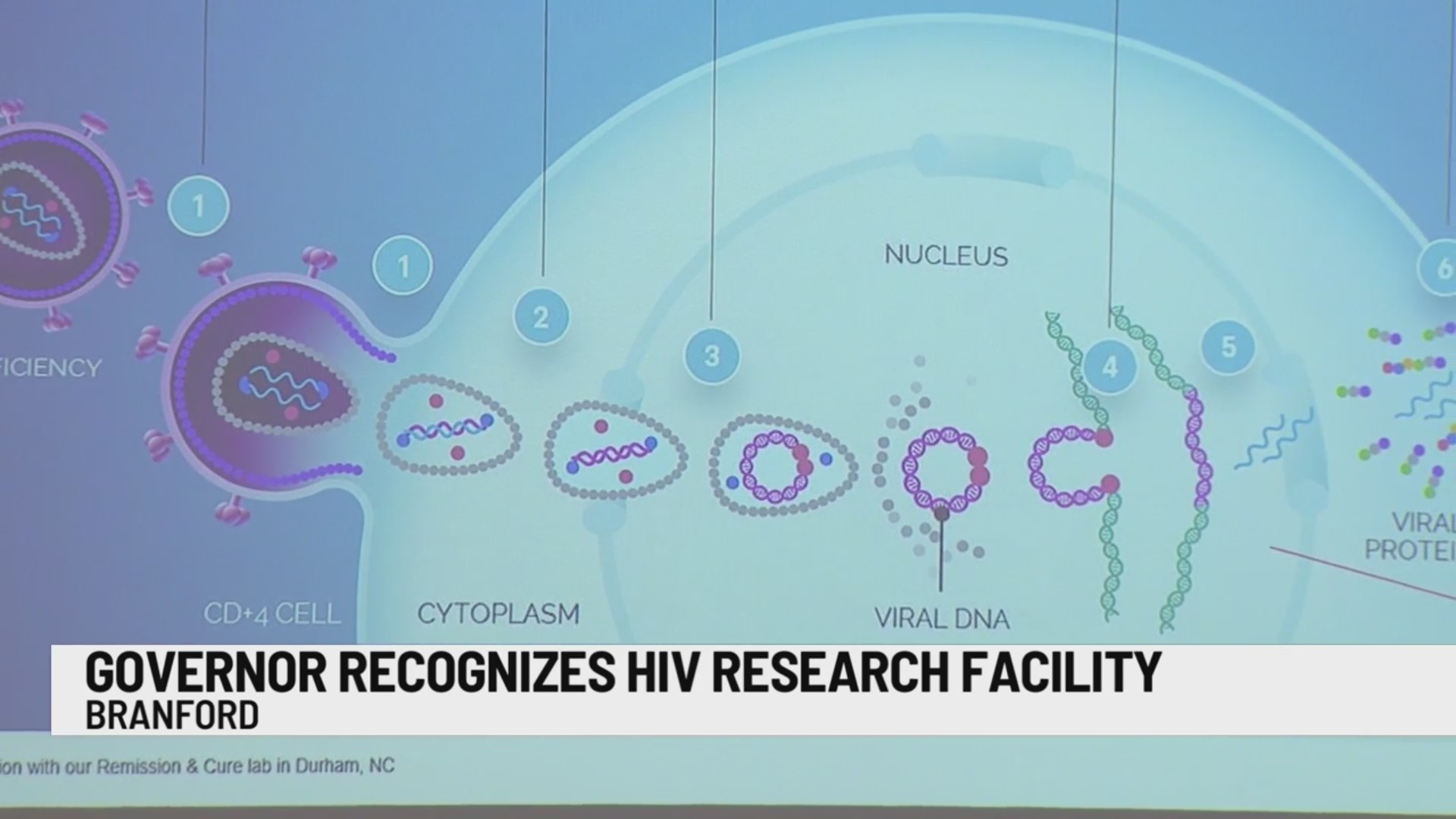 Gov. Lamont recognizes Branford lab studying HIV – WTNH.com