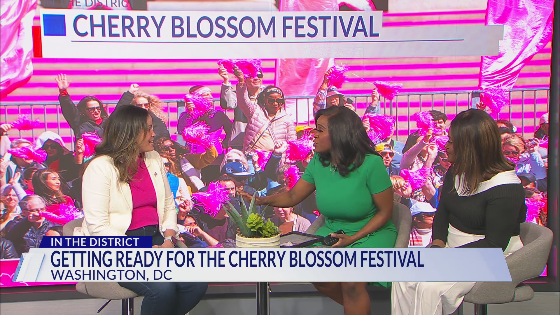 Everything you need to know about DC’s National Cherry Blossom Festival ...