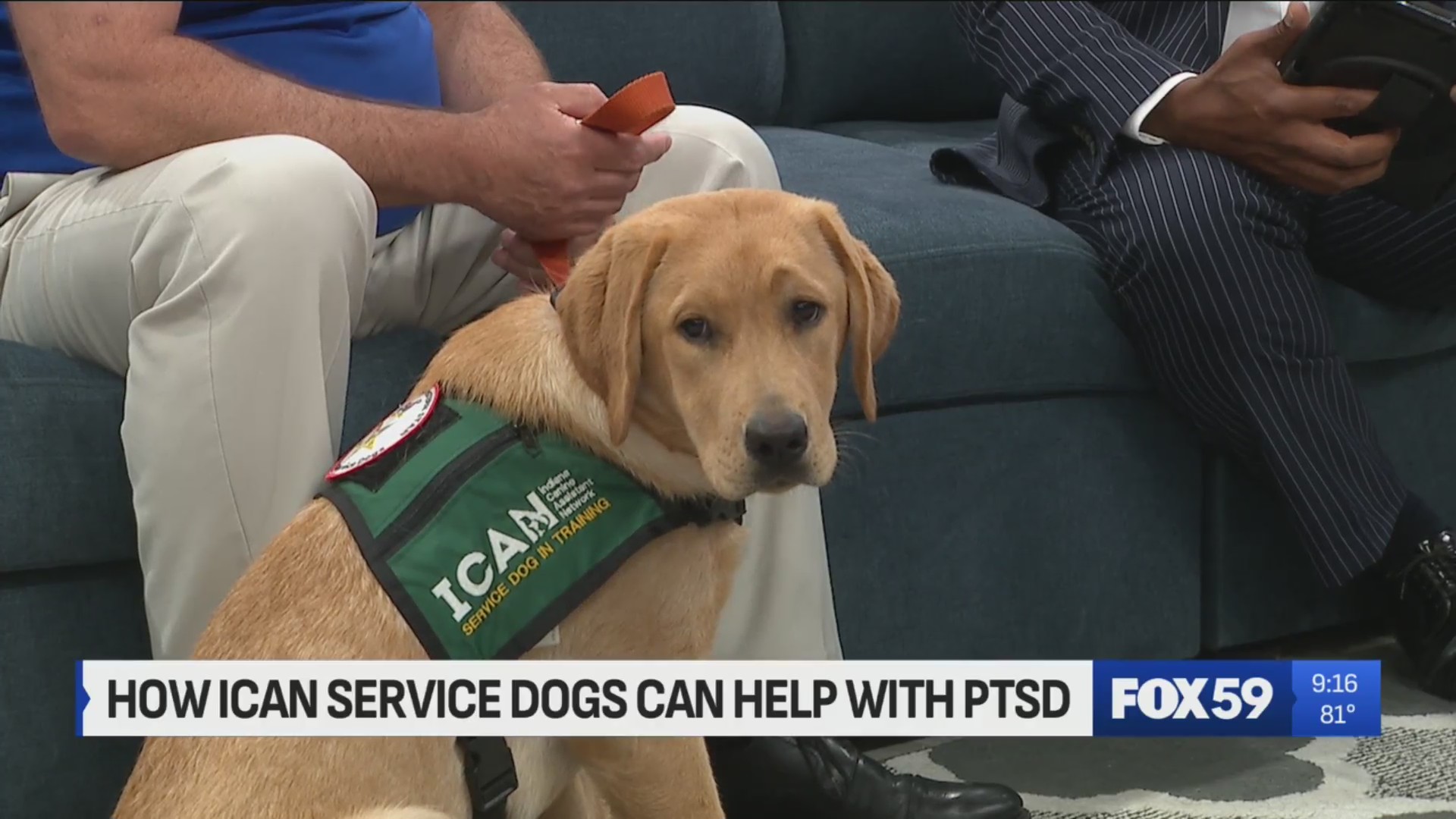 How ICAN service dogs can help with PTSD – Fox 59