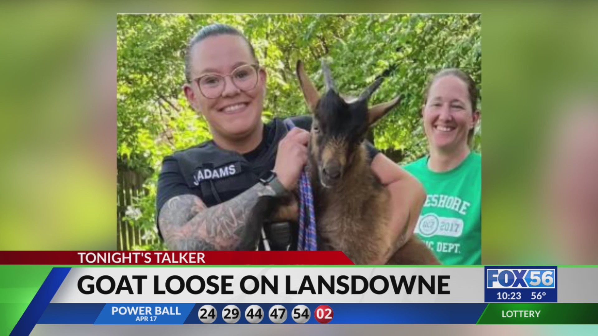 Goat captured after running wild during rush hour in Lexington – FOX 56 ...