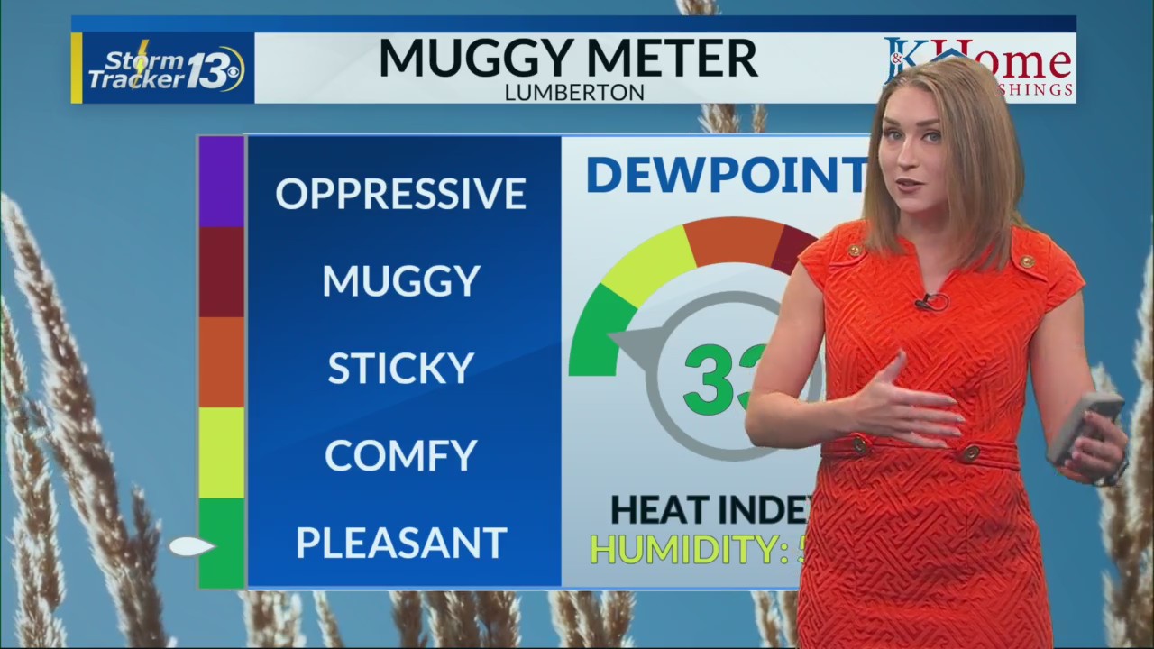 Low humidity continues keeping fire risk elevated – WBTW