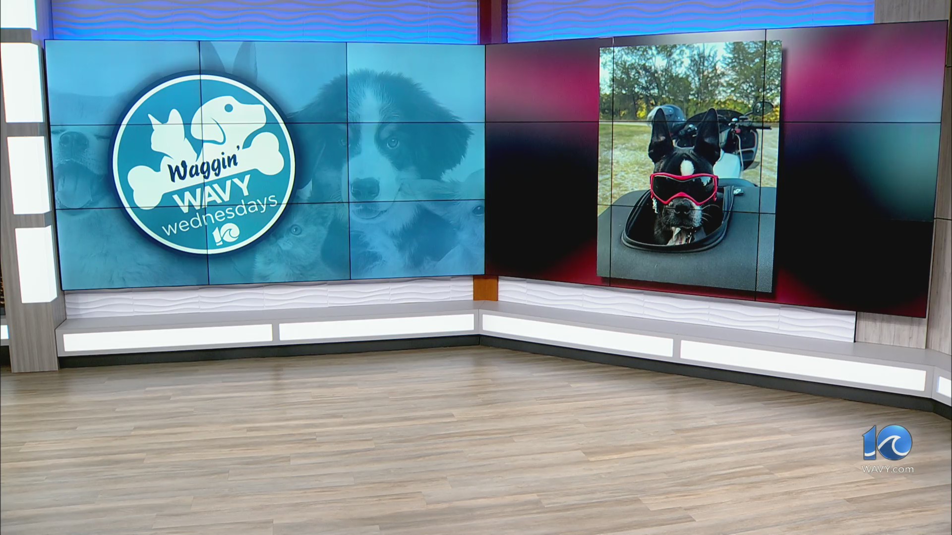 Waggin’ WAVY Wednesday Contest winner | Week of July 21-27 – WAVY.com