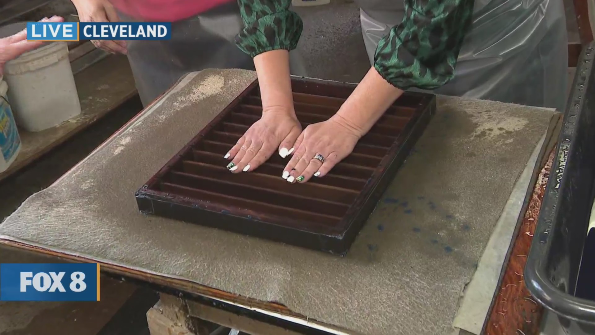 New Day Cleveland: Morgan Conservatory 2 – Fox 8 Cleveland WJW