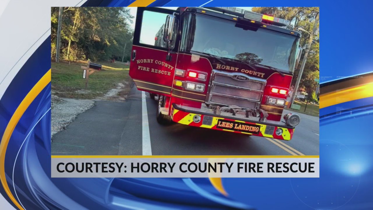 Horry County crash involving tree sends 1 to hospital – WBTW
