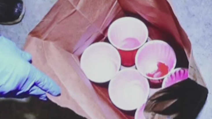 Karen Read trial: Police gathered blood evidence in red solo cups ...