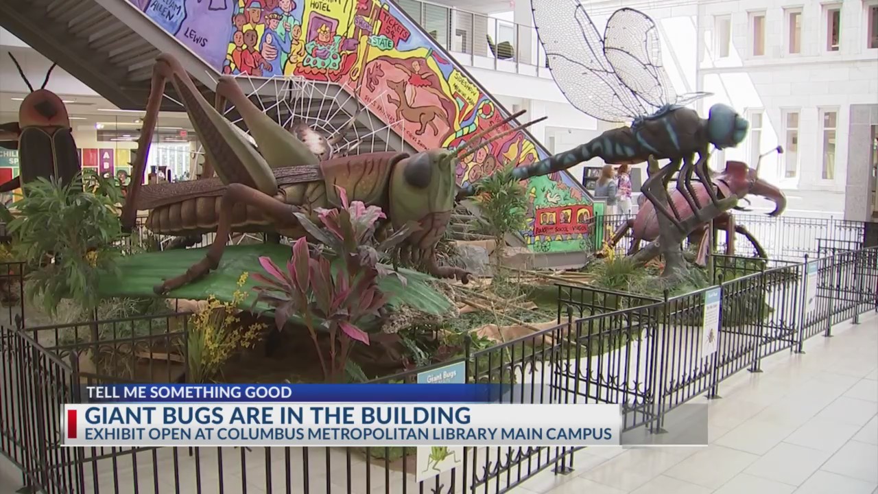 Giant bugs are in the building – NBC4 WCMH-TV