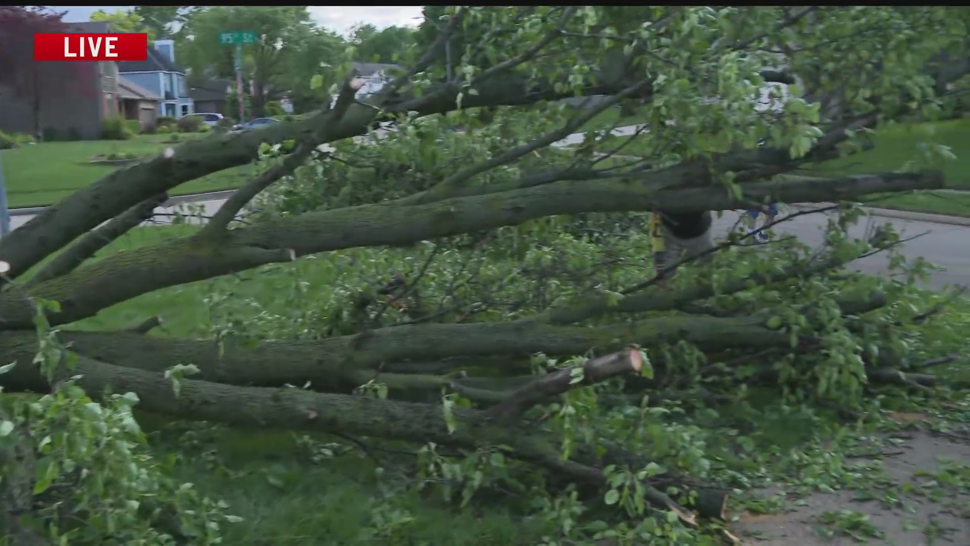 Large trees down in Urbandale – who13.com