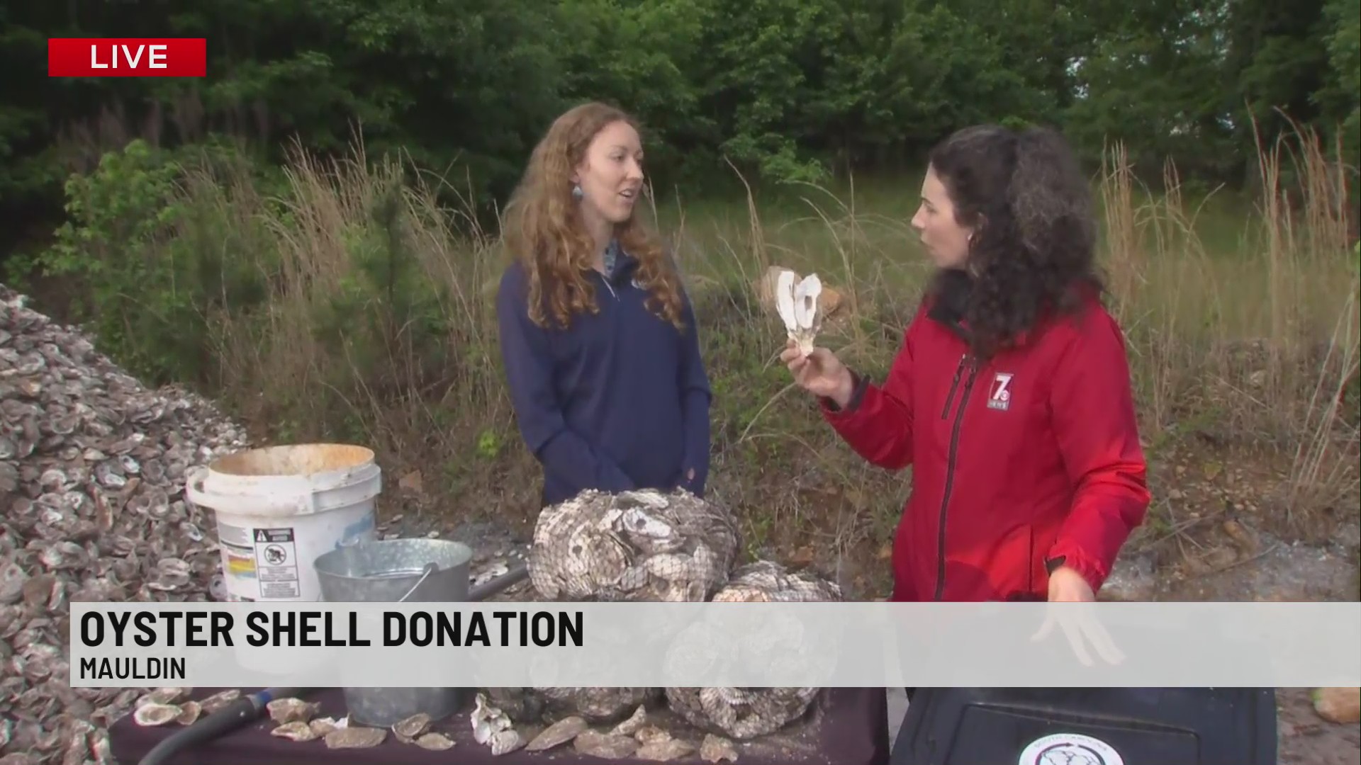 Recycle old oyster shells and help rebuild coastal reefs with ReWa and ...