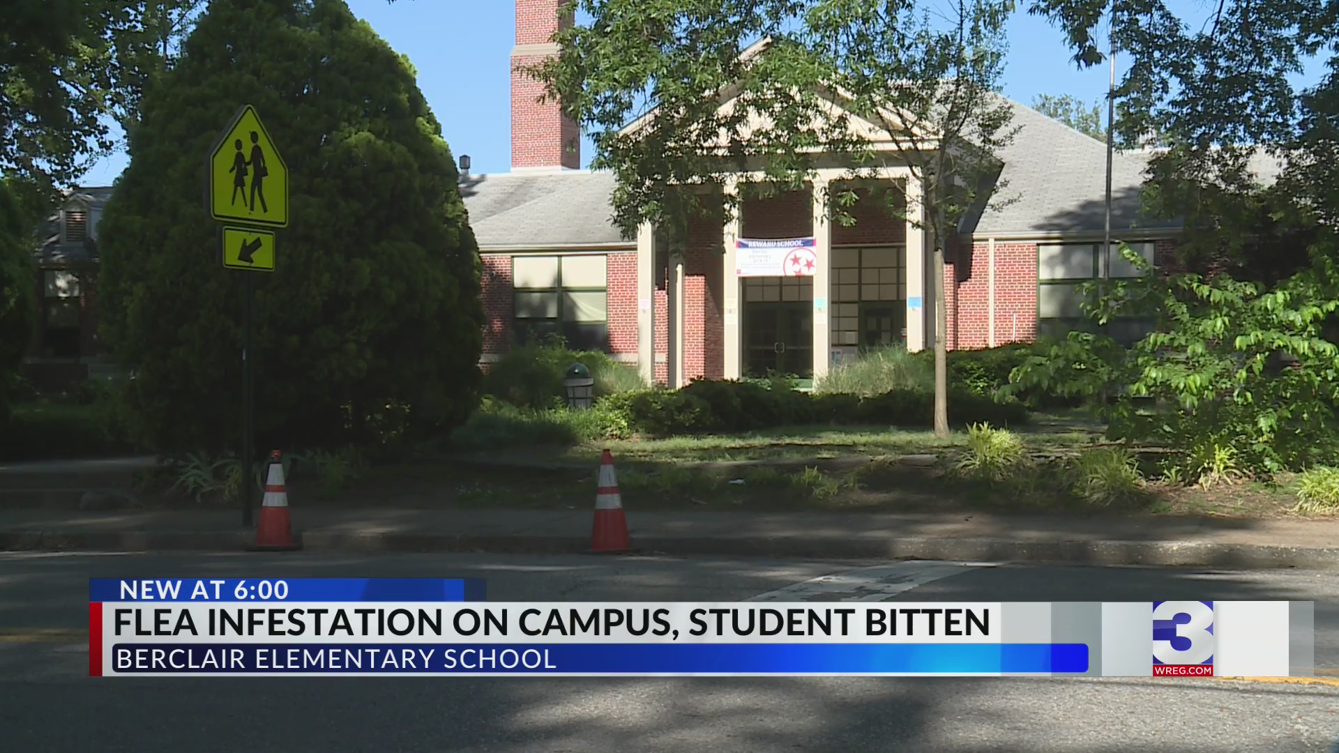 Flea outbreak at Berclair Elementary School; student being treated for ...