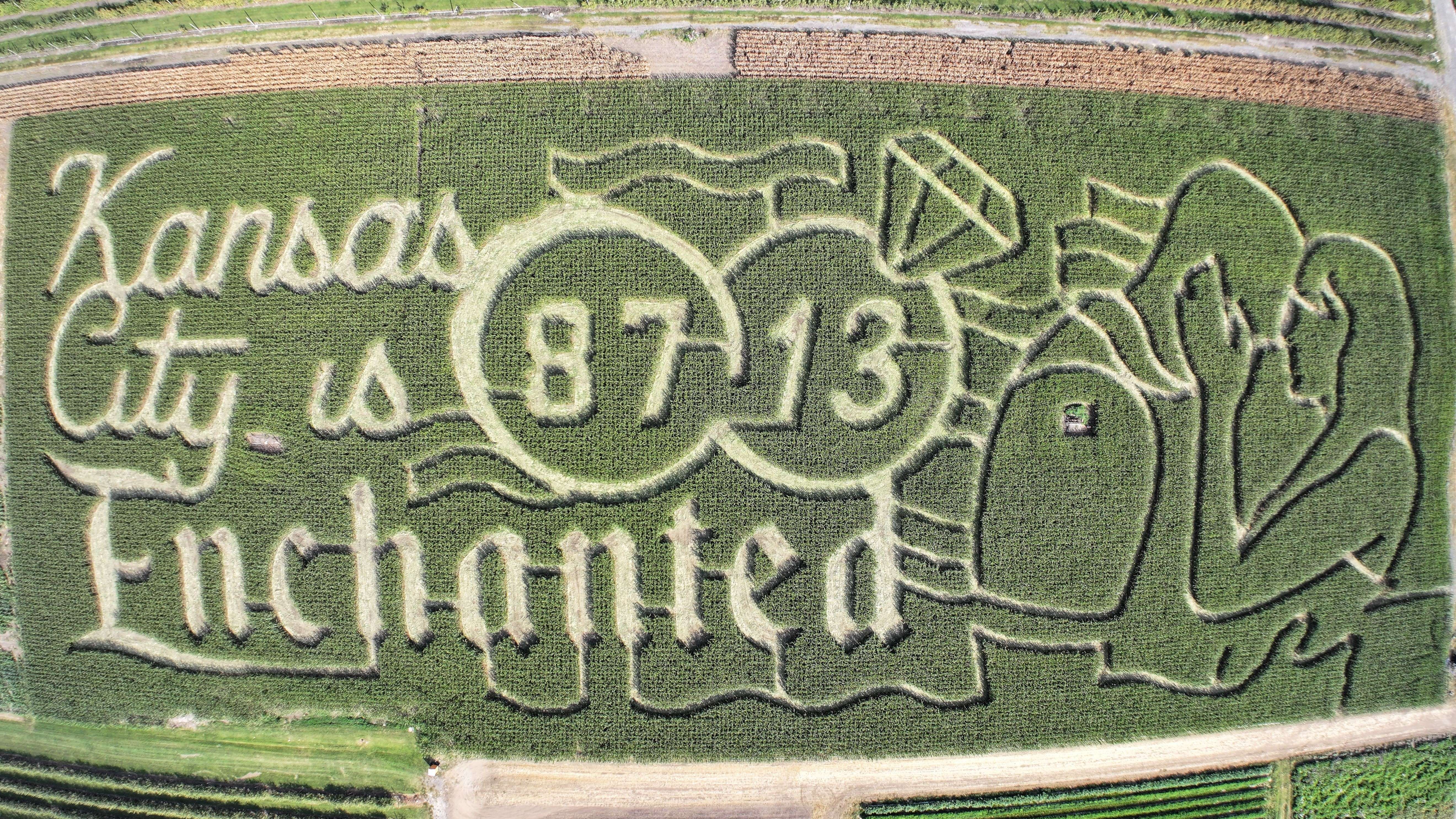 Johnson Farms unveils corn maze celebrating Taylor Swift and Travis ...