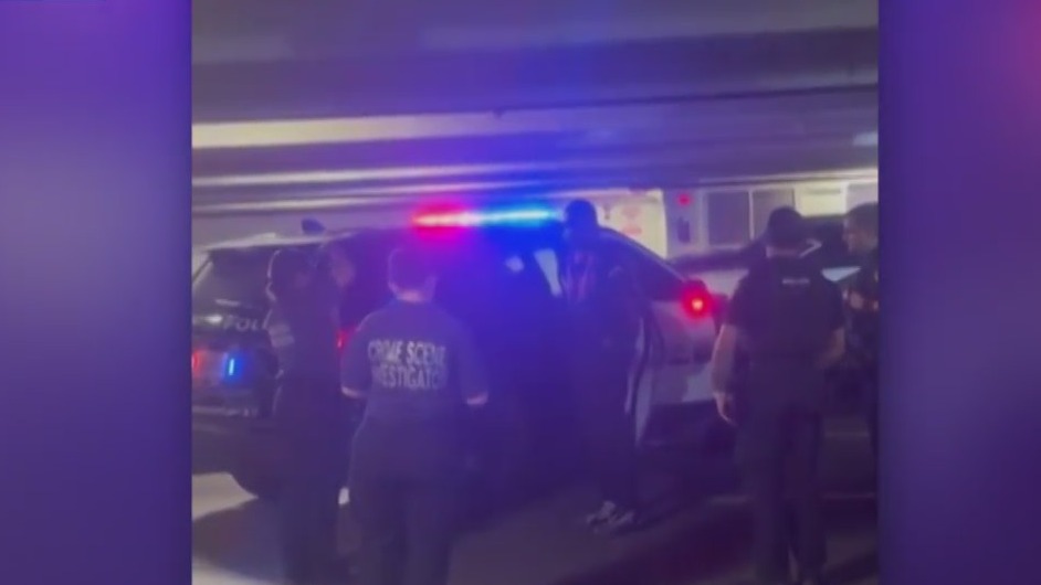 ‘No, you can’t get out’: Florida burglary suspect caught in car by ...